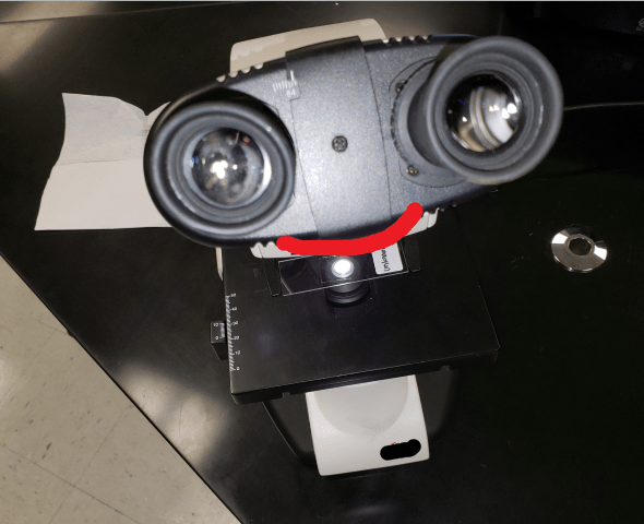 Forensics Activities – darrellbarnes.blog